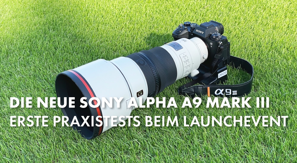 Sony Alpha A9 III & FE 300mm F2.8 GM OSS hands on