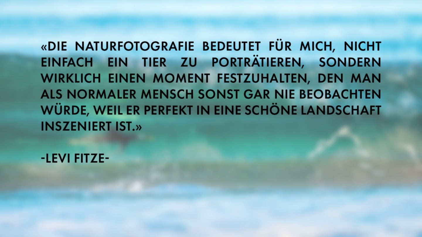 Welche Sony Kamera ist die richtige für dich?